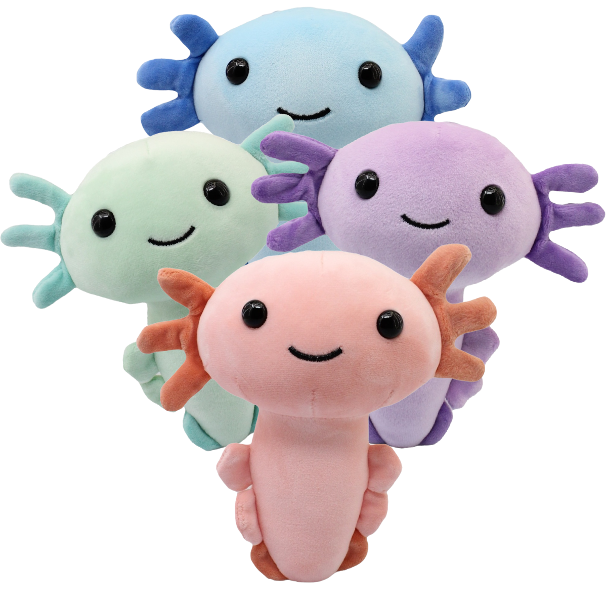 Los Fascinantes Fenotipos (colores) del Ajolote – Ecoxolotl