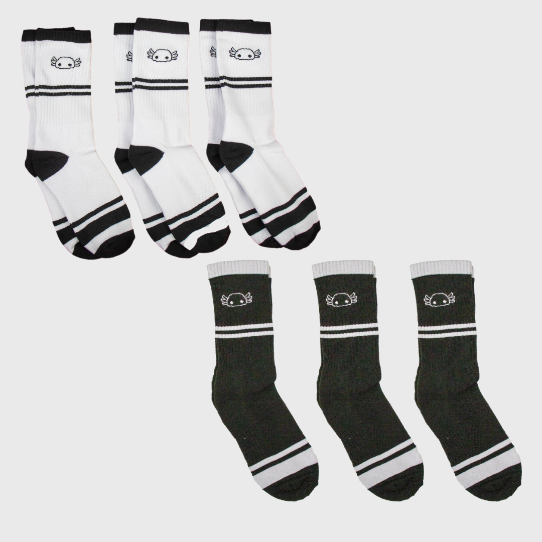 Calcetas Deportivas 6-Pack – Ecoxolotl